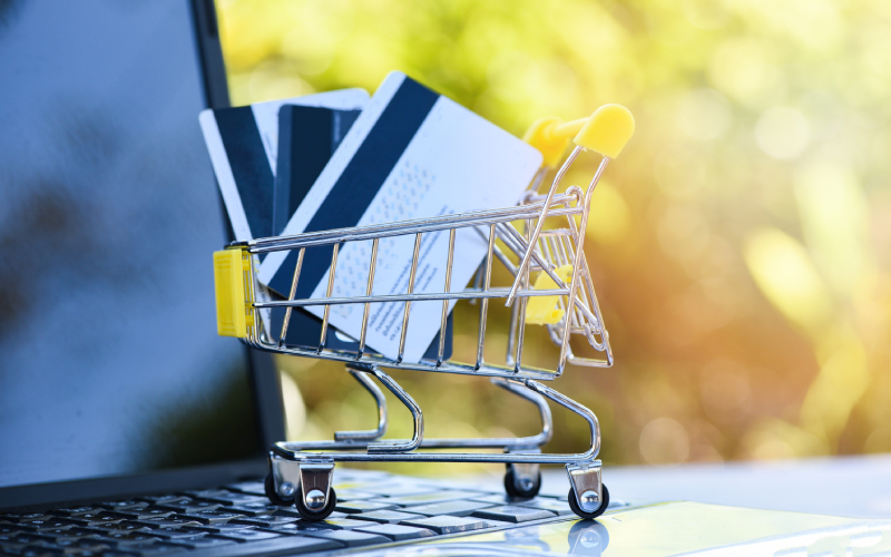 Online trgovina - popularna delatnost firmi u Sloveniji! • DATA d.o.o.