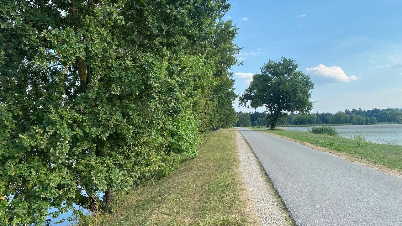 Biznis imigracija u Sloveniji/EU - mogućnosti i prednosti • DATA d.o.o.